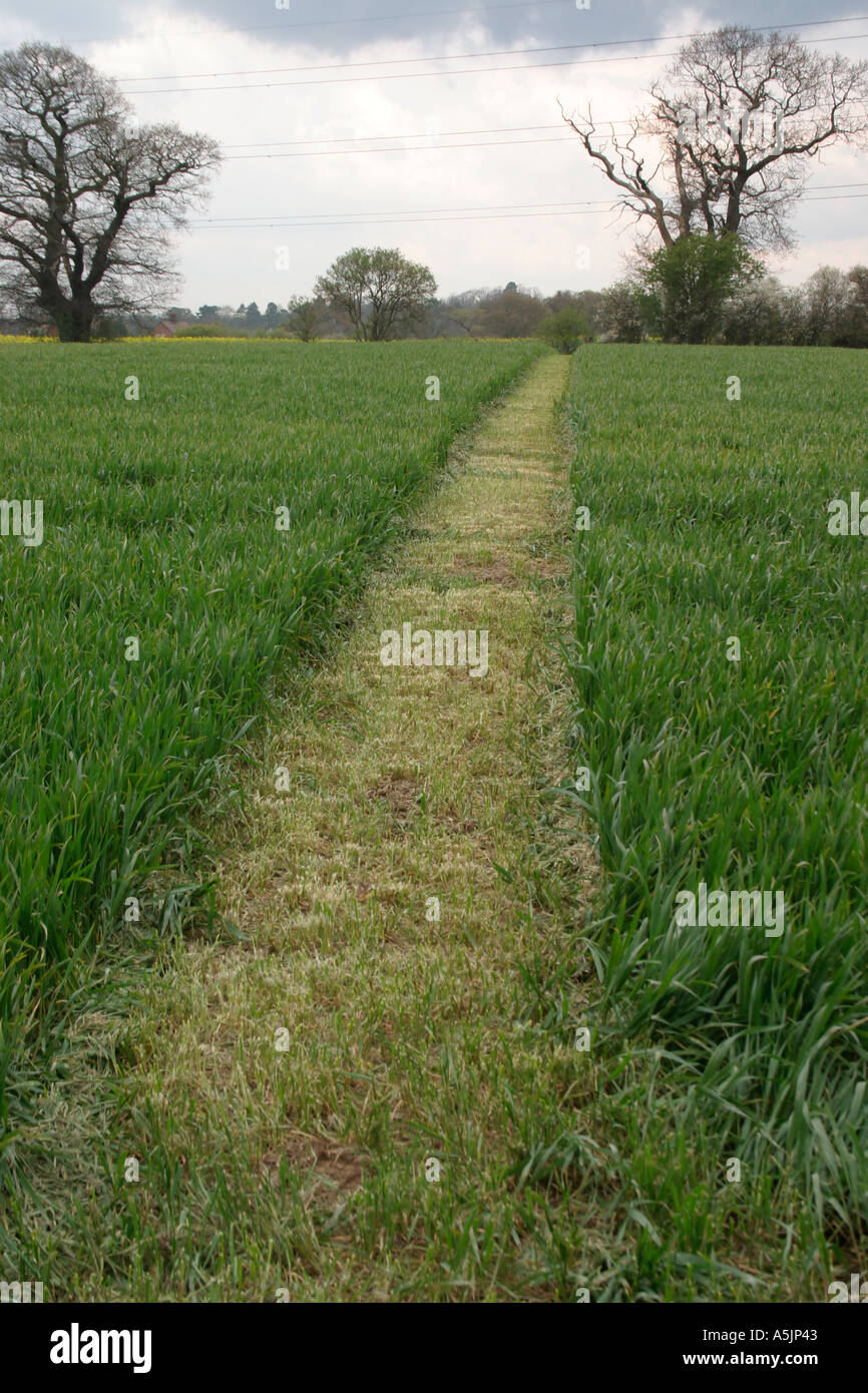 Route of a public footpath across crop field restored by farmer Stock ...