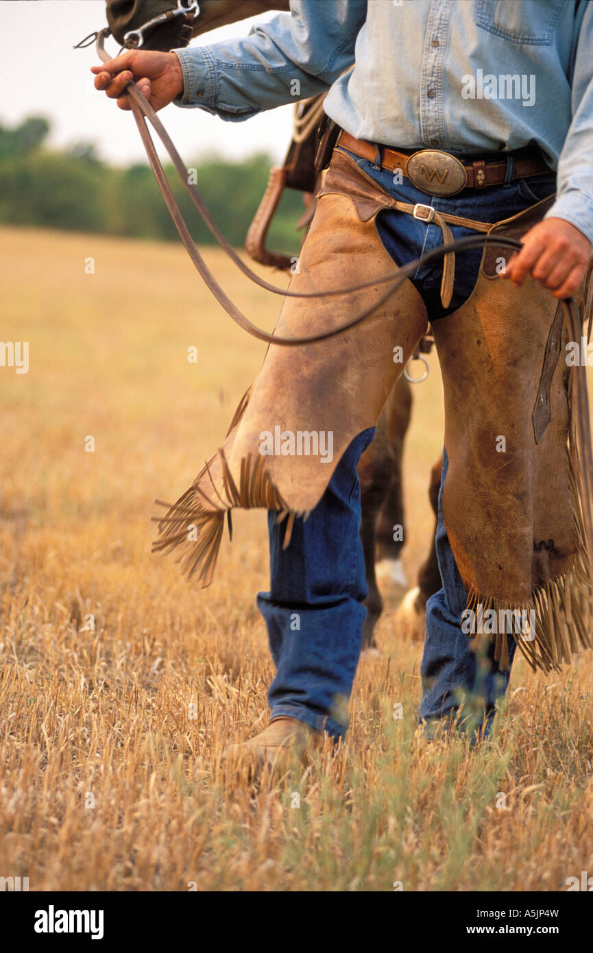 Cowboy walking his horse at a Dude Ranch Knife River Ranch North Dakota ...