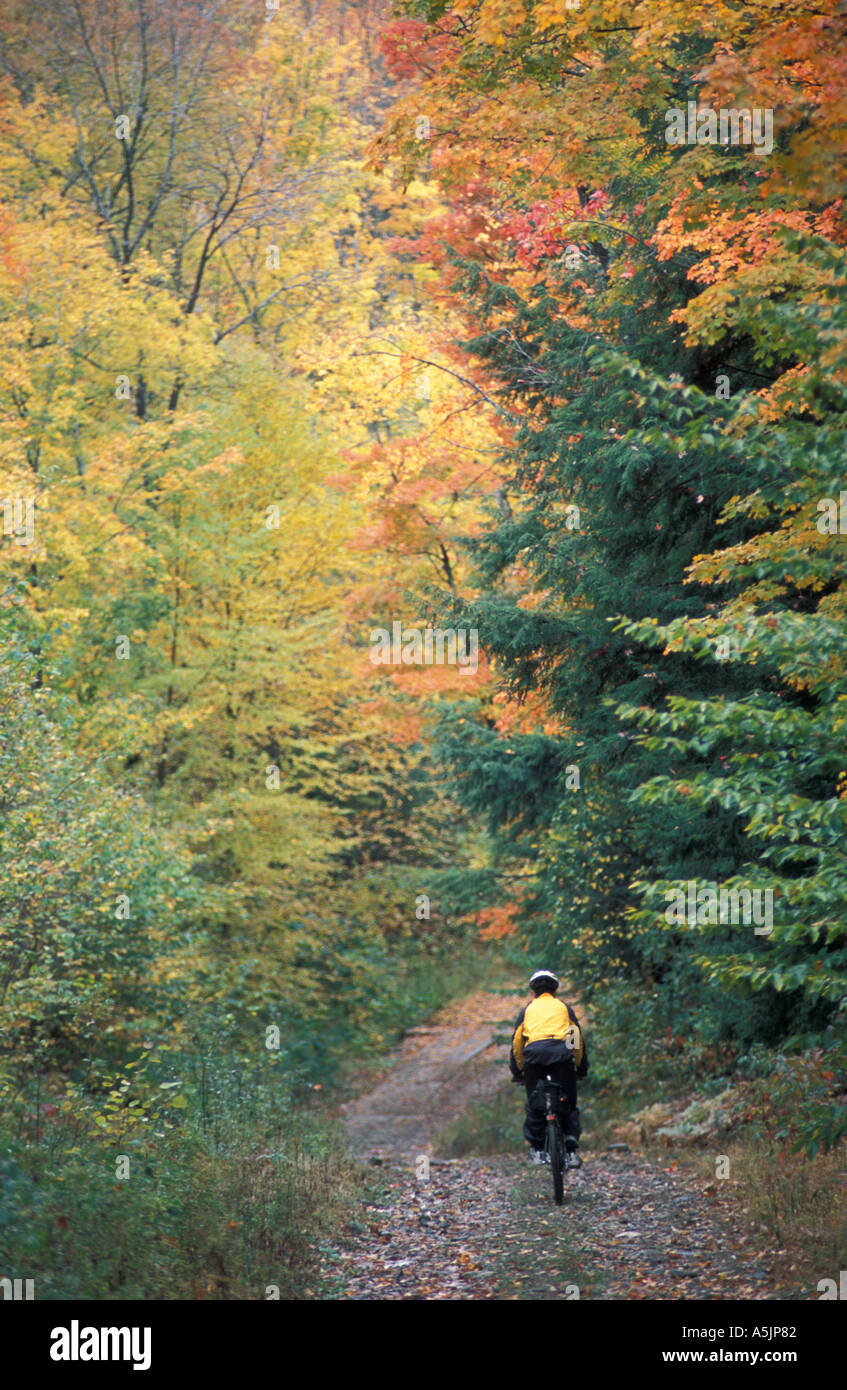 Appalachian mountain logging hi-res stock photography and images - Alamy