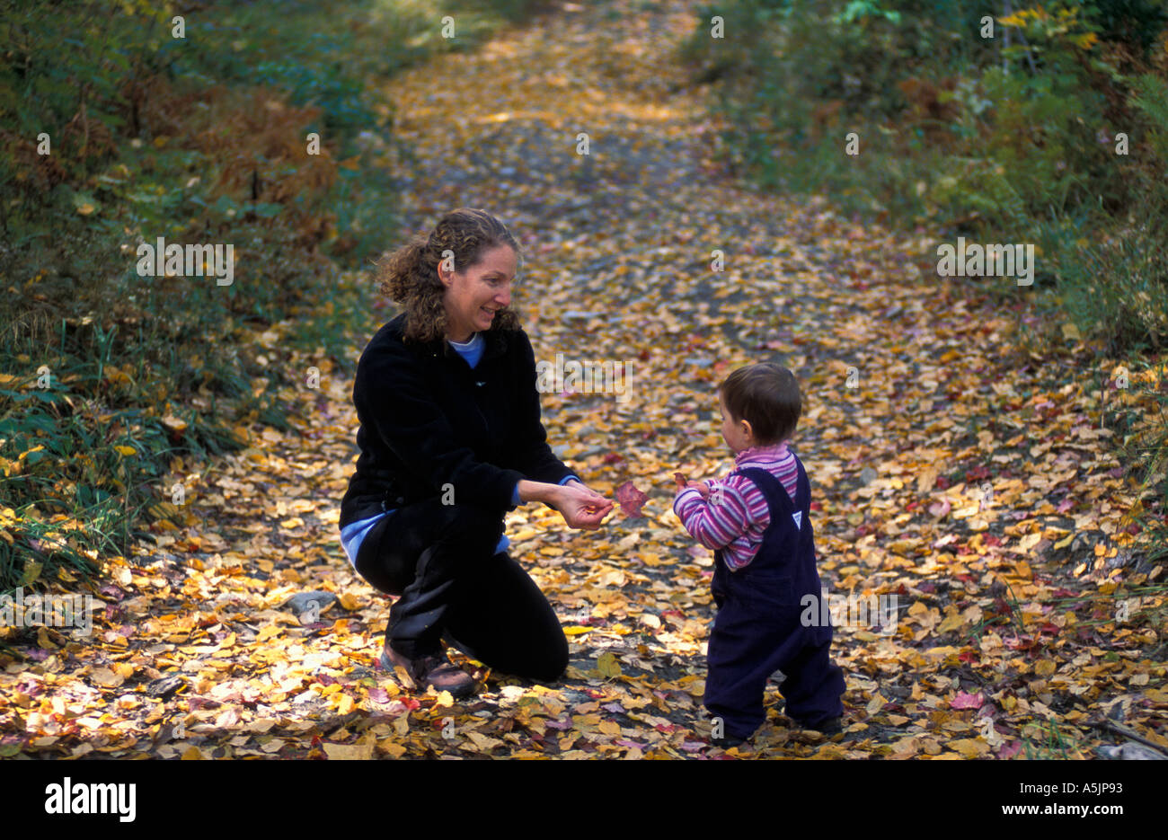 Appalachian mountain logging hi-res stock photography and images - Alamy