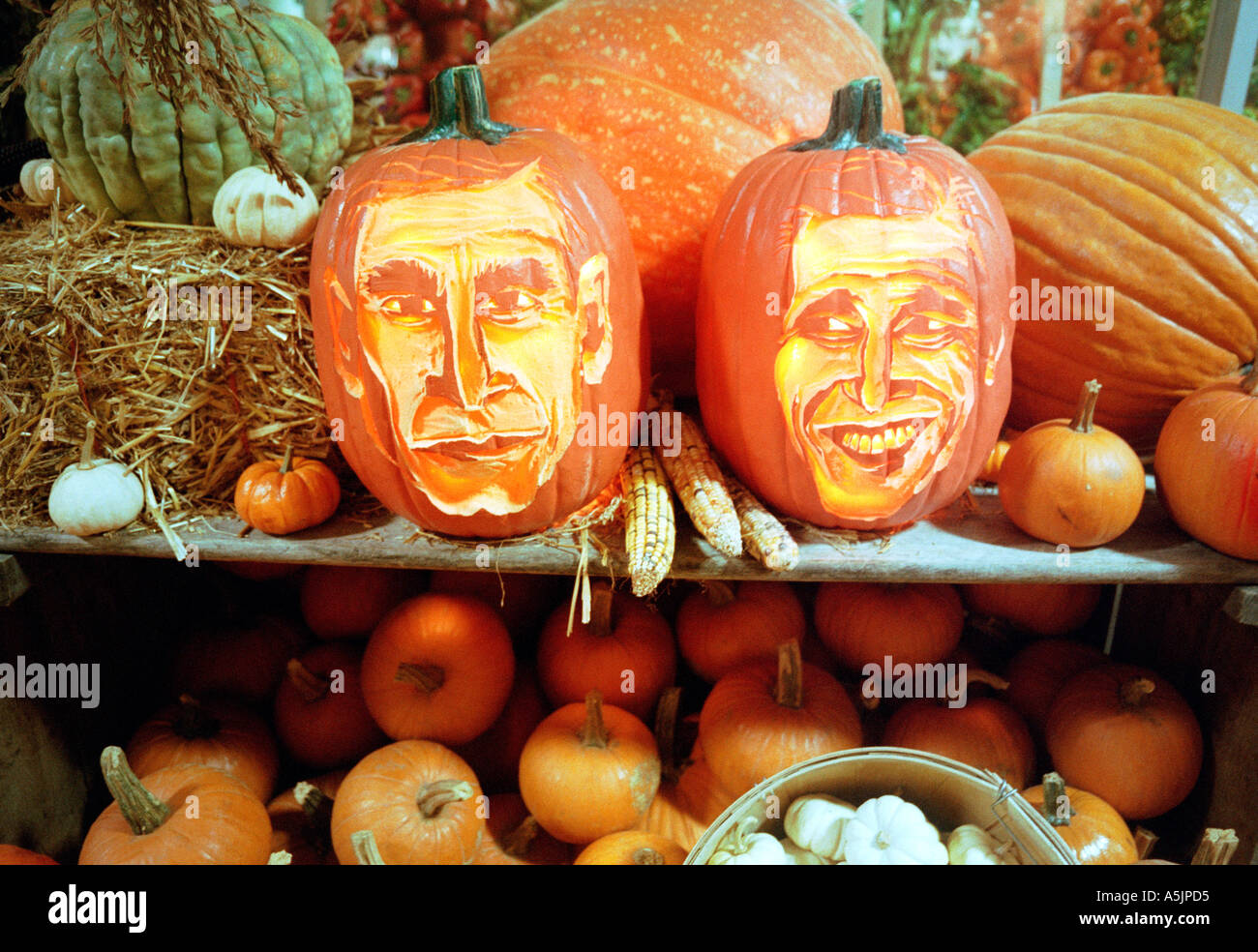 Just in time for Halloween and the U S Presidential election pumpkins ...