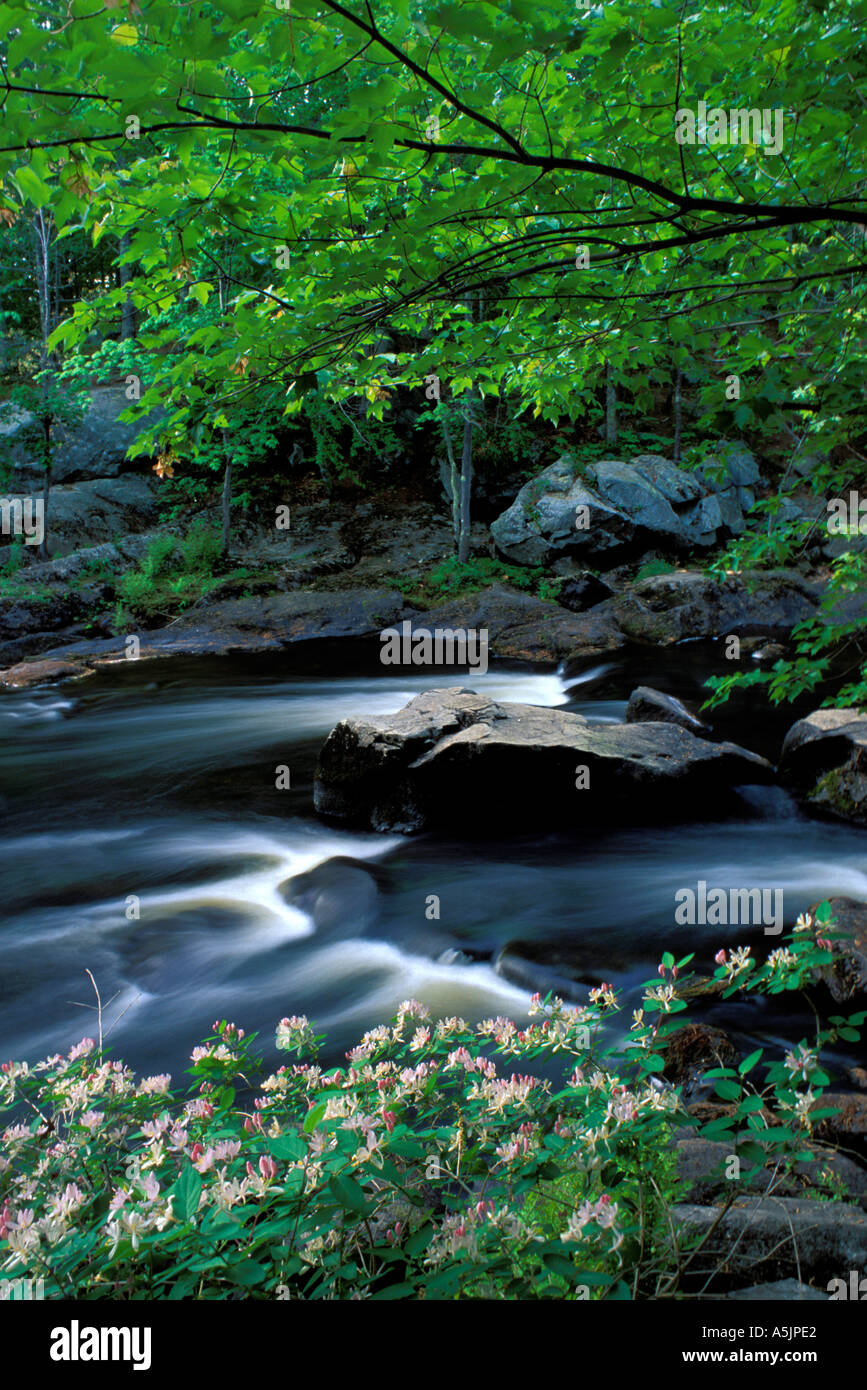 Spring at Packer s Falls on the Lamprey River Stock Photo - Alamy