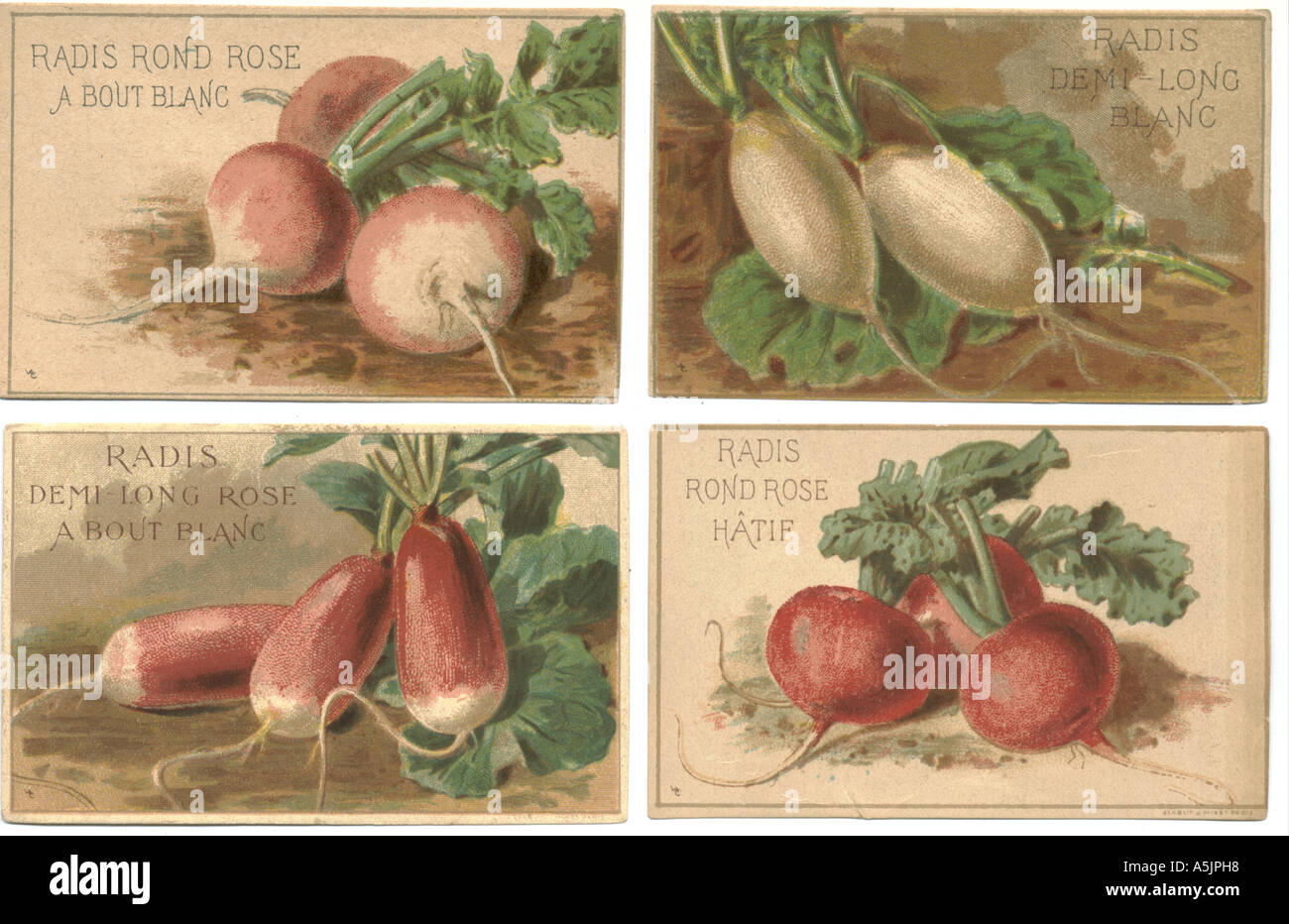 Victorian seed packets hi-res stock photography and images - Alamy
