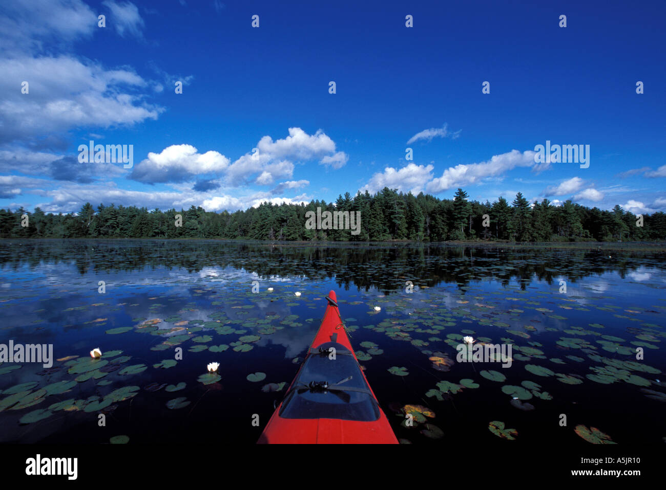 Hubbard woods hi-res stock photography and images - Alamy