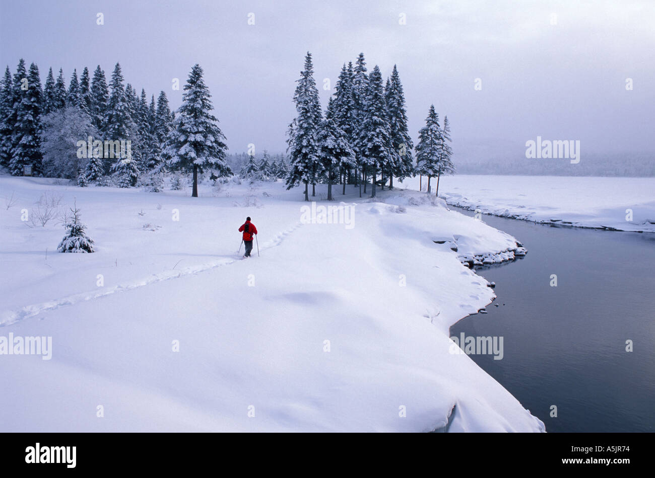 Snowshoeing along the shores of Second Connecticut Lake Stock Photo - Alamy
