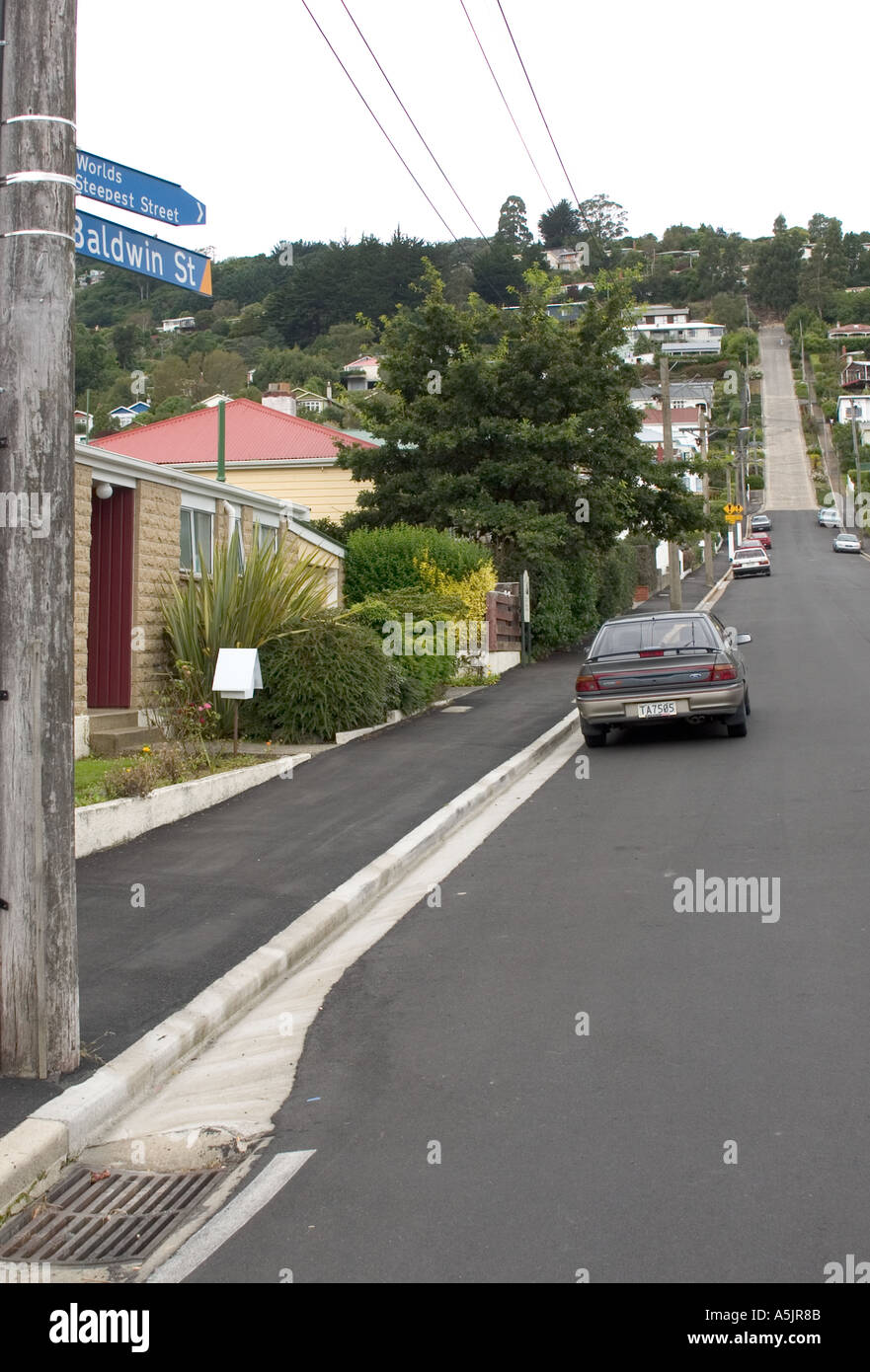 The steepest street in the world Baldwin Street Dunedin New Zealand ...