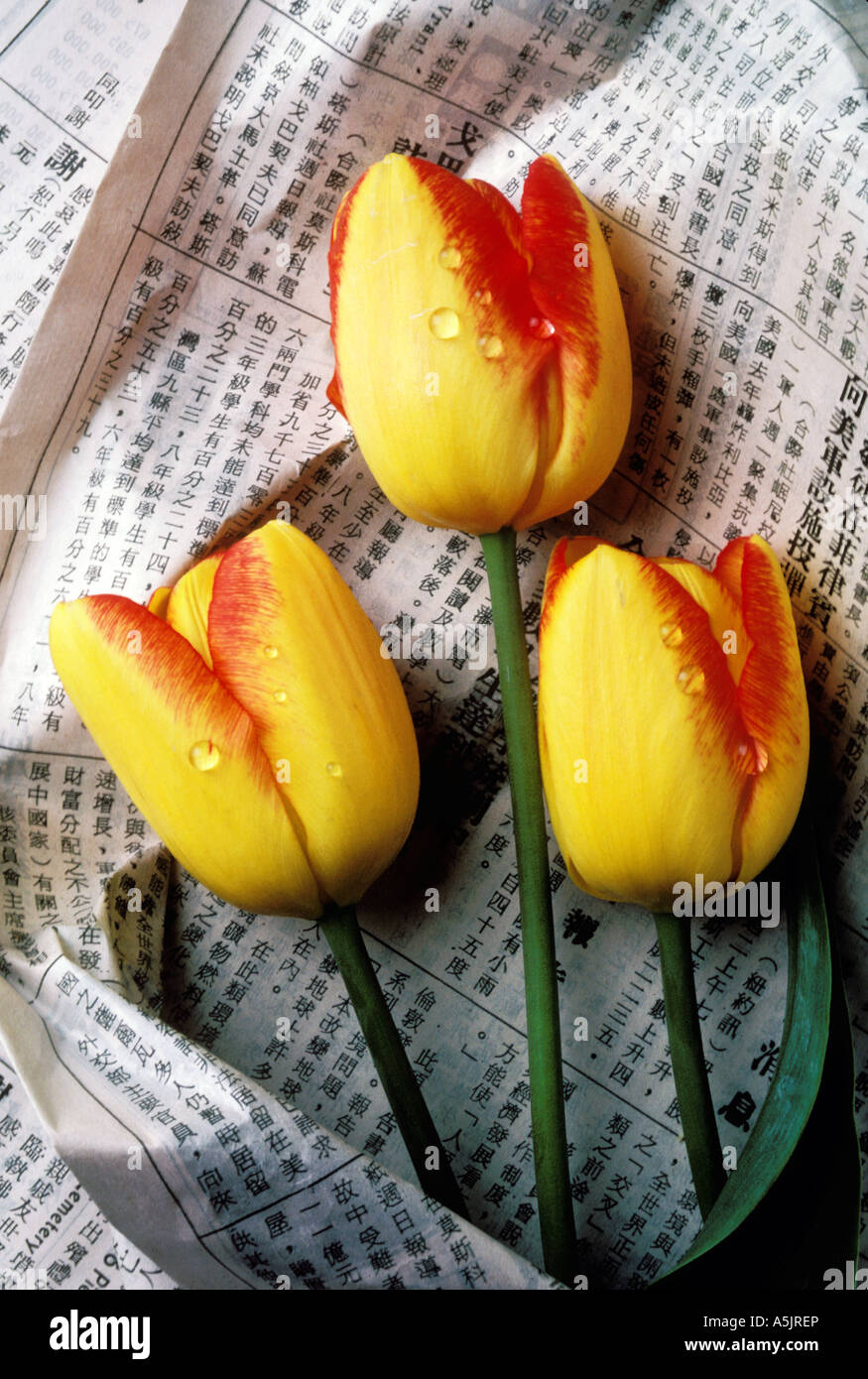 Flowers wrapped in newspaper hi-res stock photography and images - Alamy