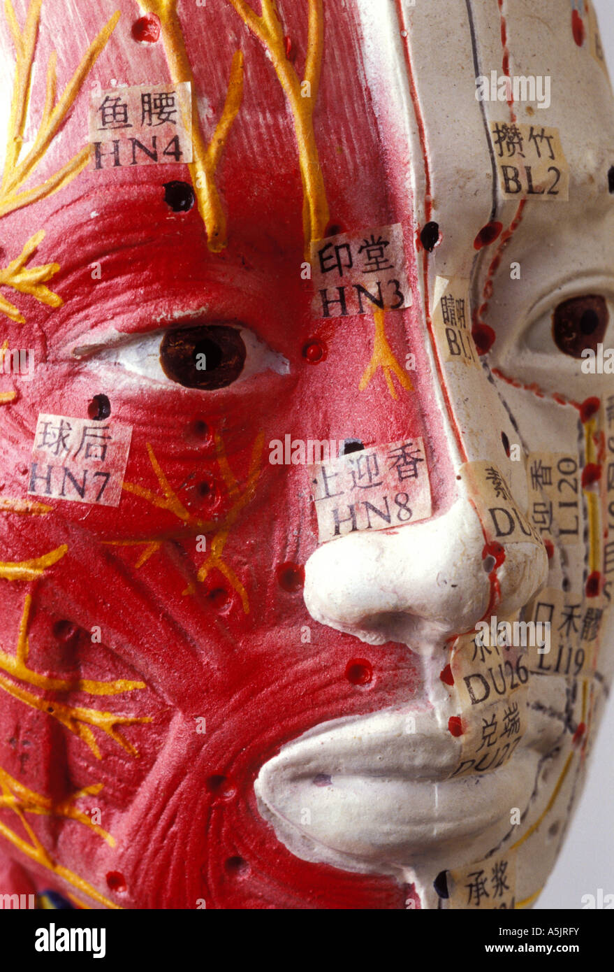 Acupuncture model human body hi-res stock photography and images - Alamy