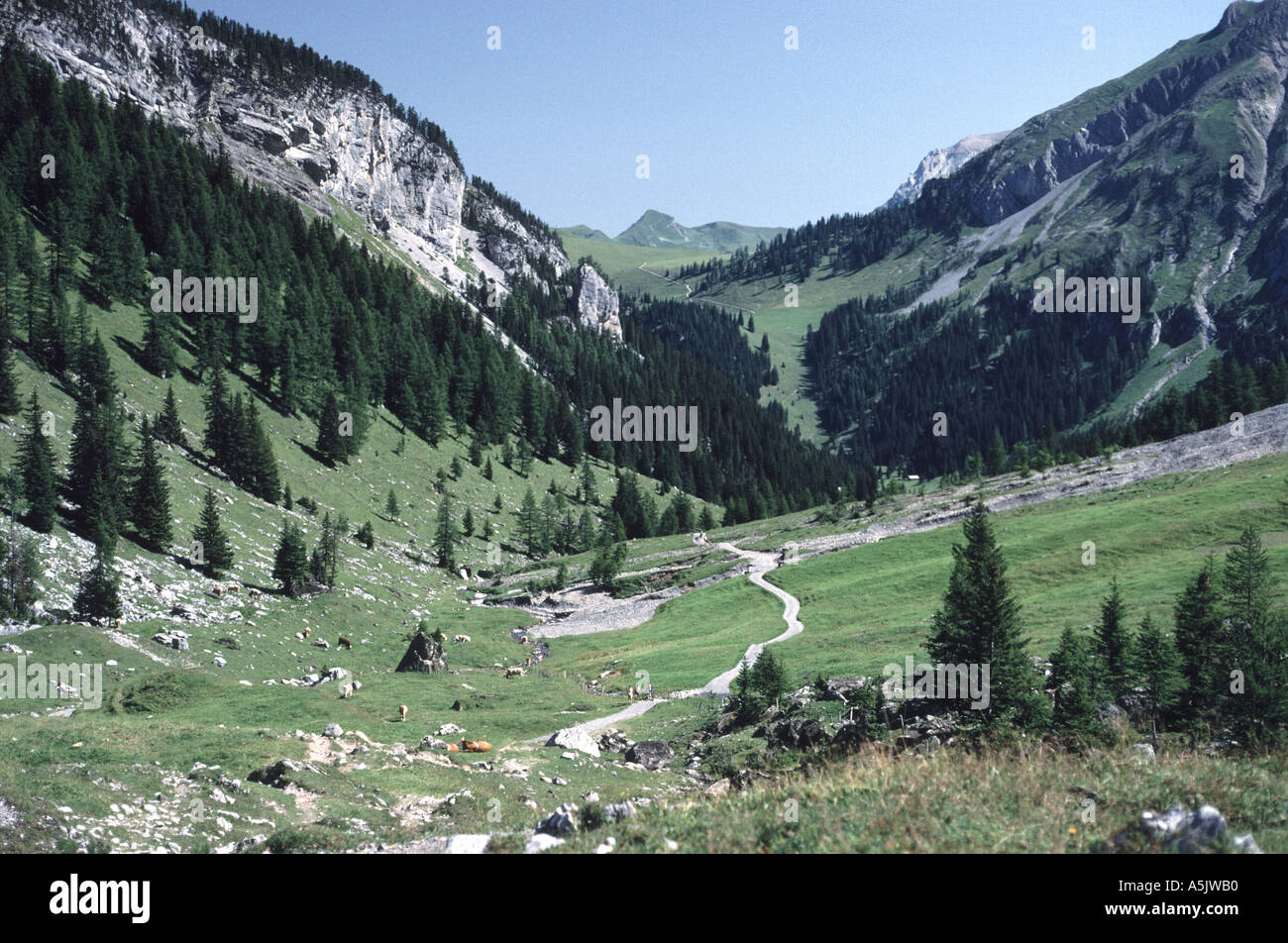Summer view of Simmental valley in Switzerland Stock Photo - Alamy