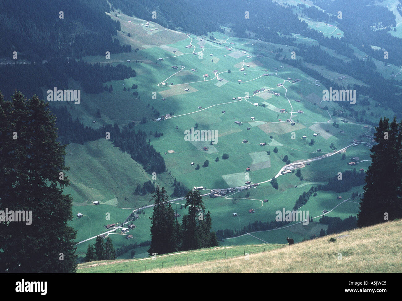 Alpine farms in valley, Switzerland Stock Photo - Alamy