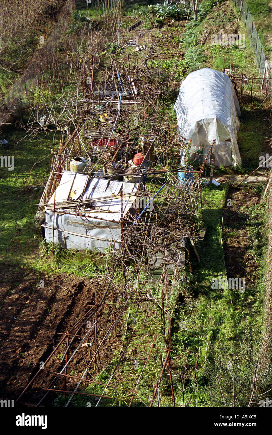 aerial view of a garden allotment Stock Photo - Alamy