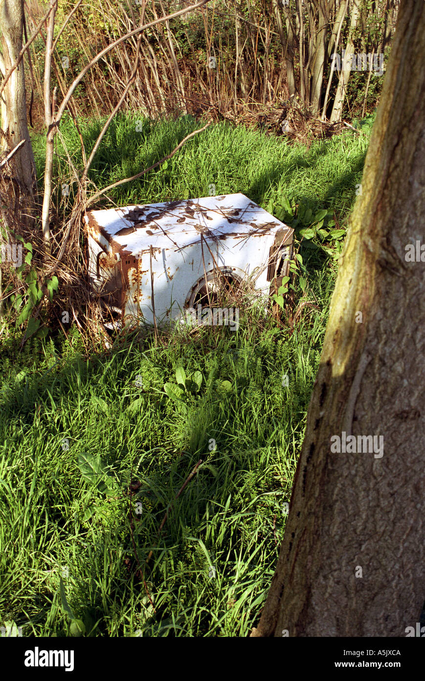 old washing machine dumped in woods Stock Photo - Alamy