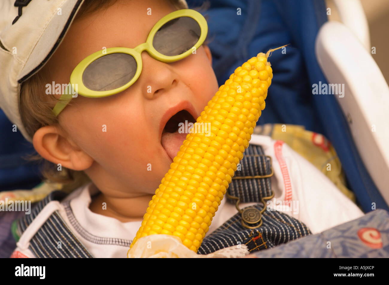 Young boy licking corn on the cob at the Taste of Chicago in Grant Park ...