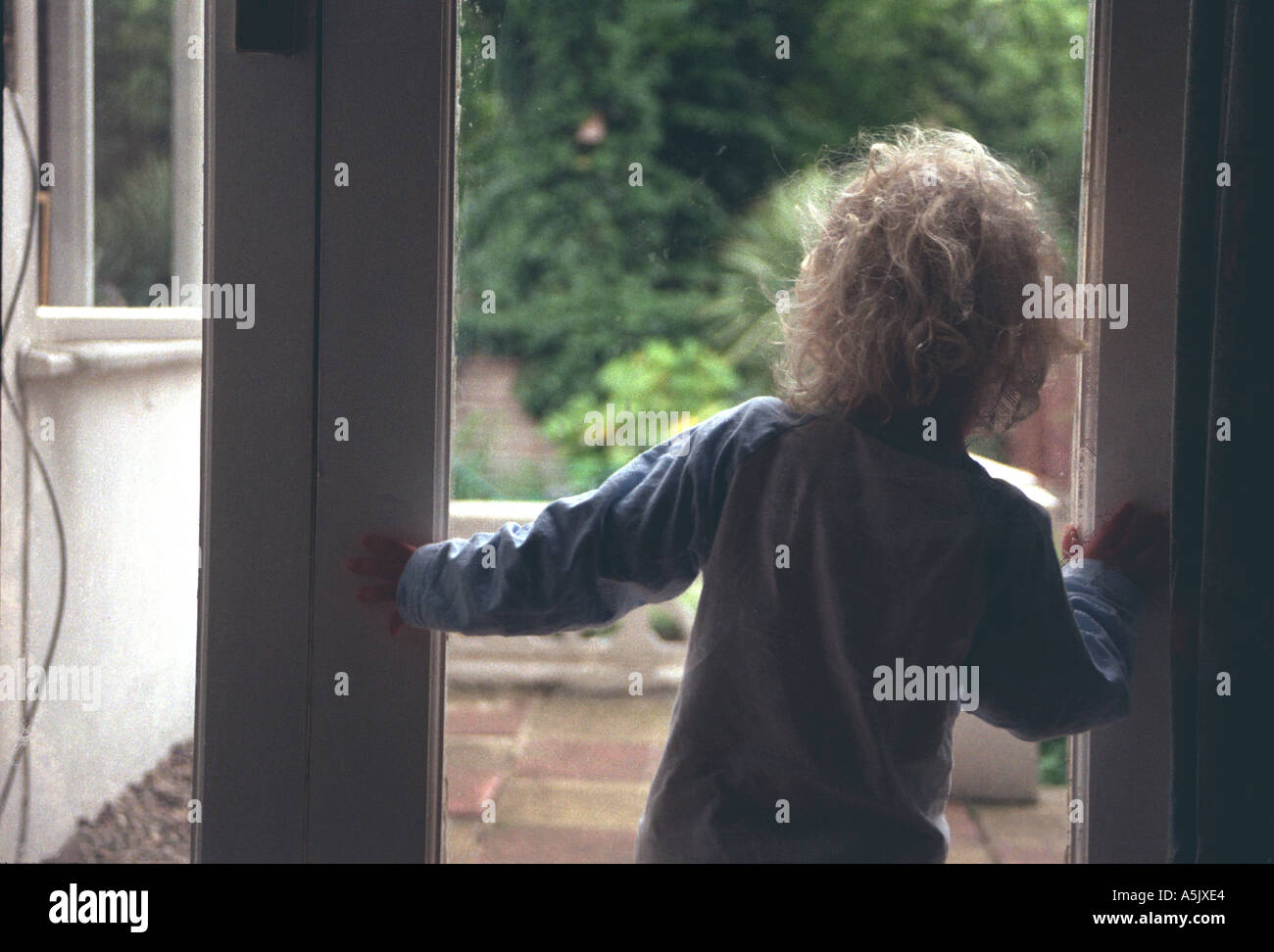 rear view of baby looking curiously through window Stock Photo - Alamy