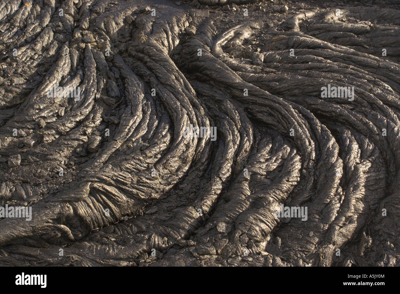 Lovely example of hardened Pahoehoe lava like coiled rope in Kilauea ...