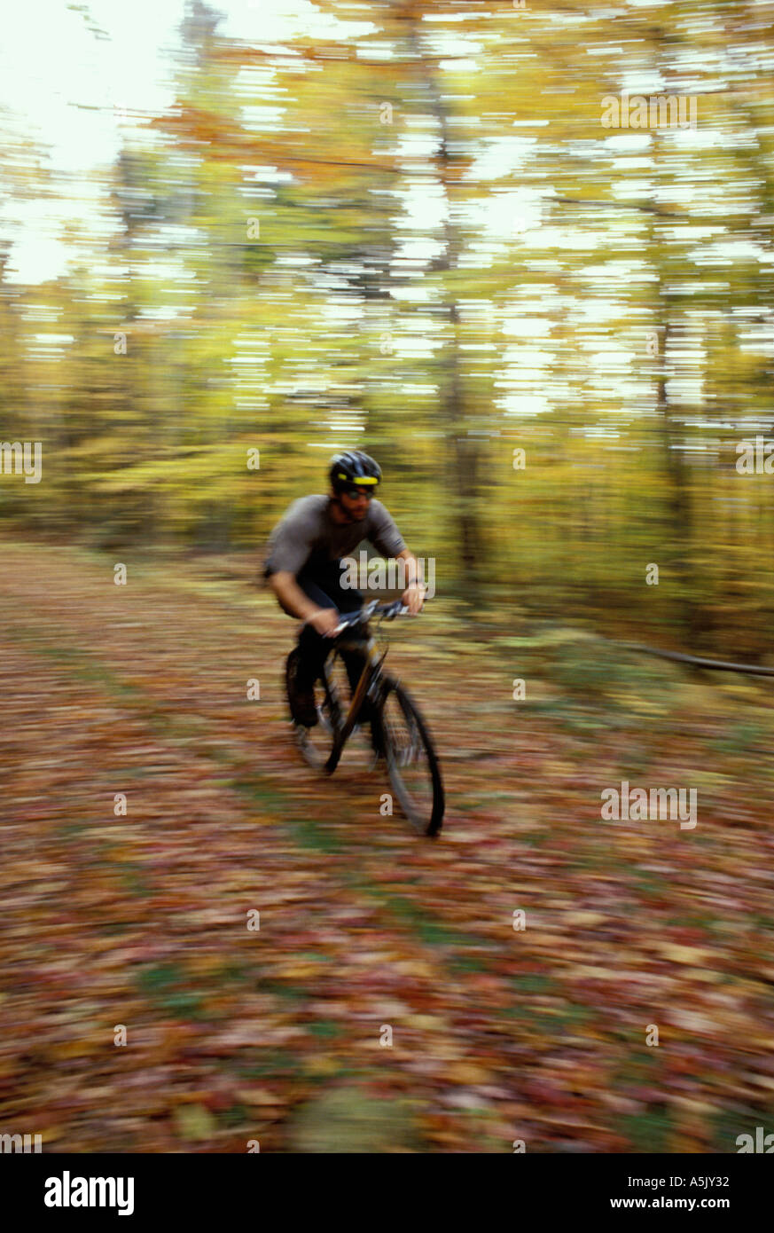 Appalachian mountain logging hi-res stock photography and images - Alamy