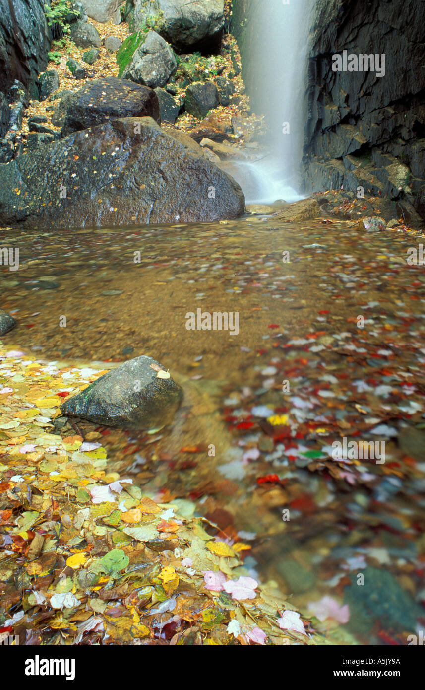 Waterfall with pool full of autumn leaves Stock Photo - Alamy