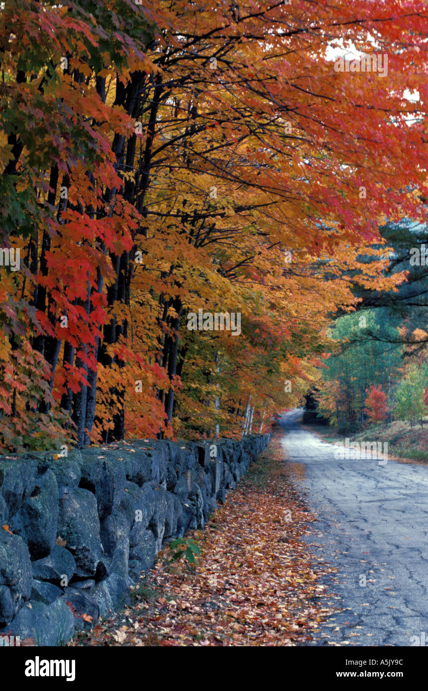 New england backroads hi-res stock photography and images - Alamy
