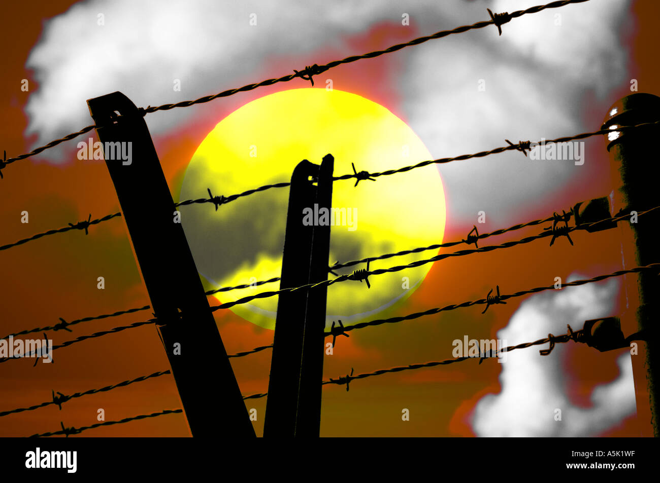 huge sunset behind barbed wire prison fence Stock Photo - Alamy