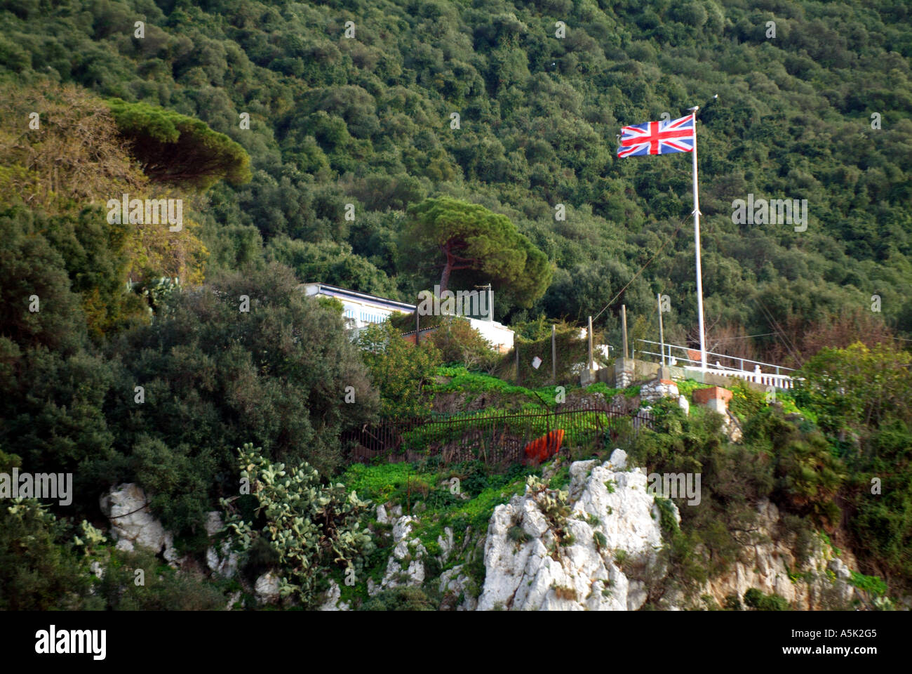 rock of gibraltar the rock union flag union jack vertical hillside ...