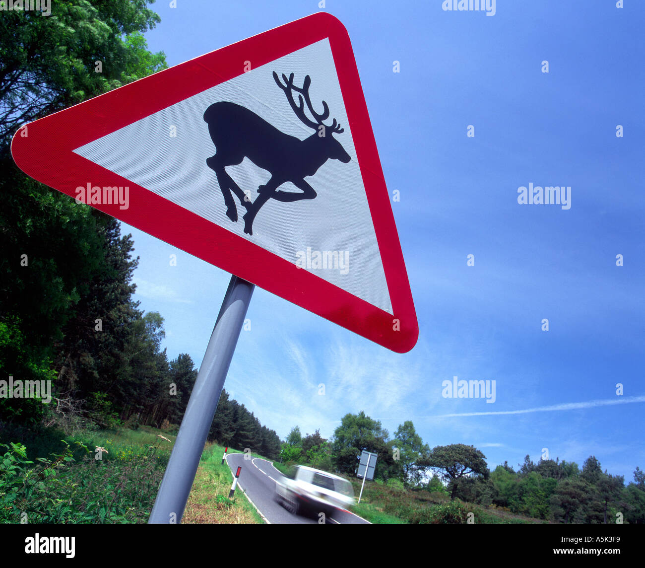Deer Road Sign Uk
