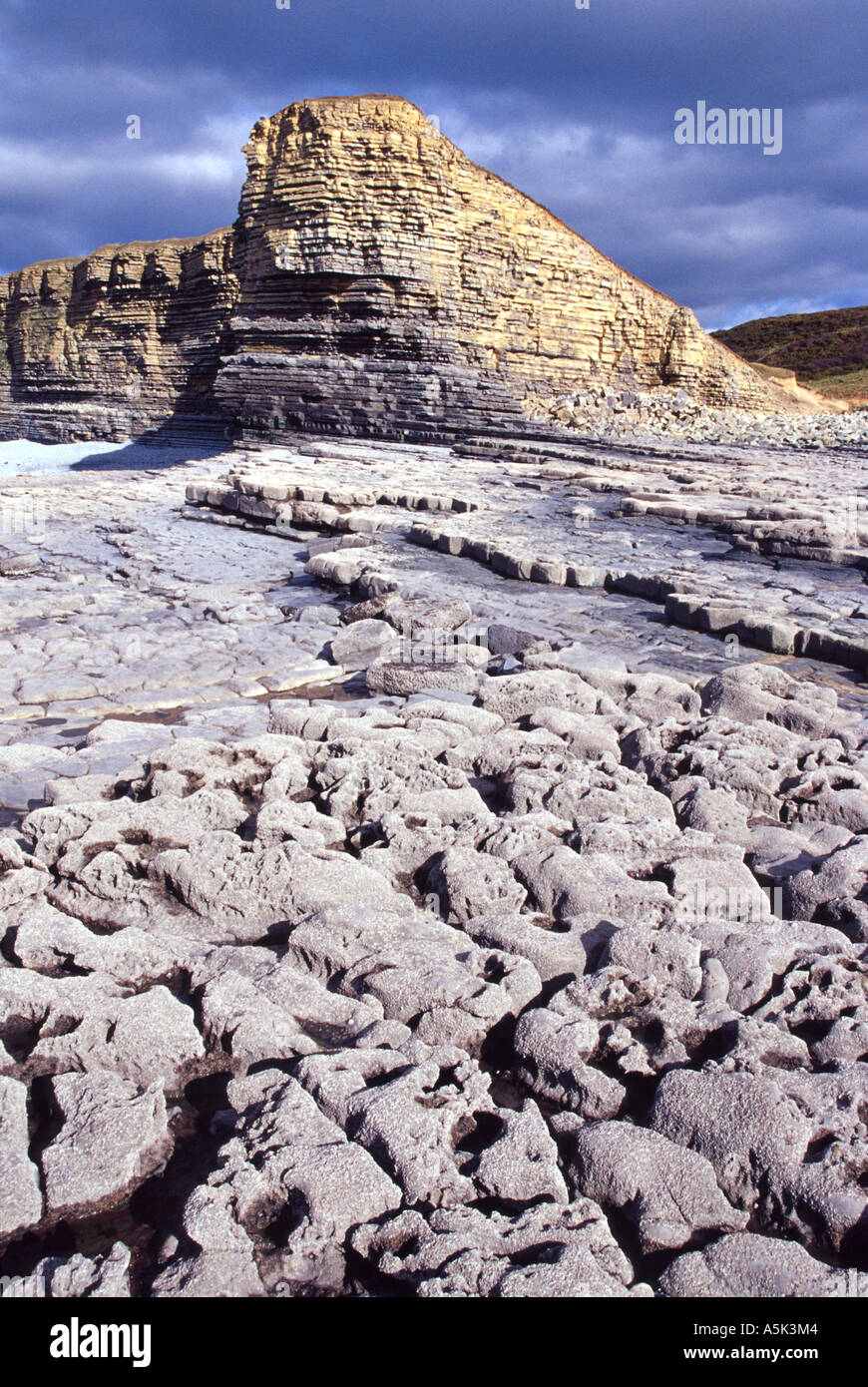 nash point coastline limestone pavement cliff strata geology geological ...