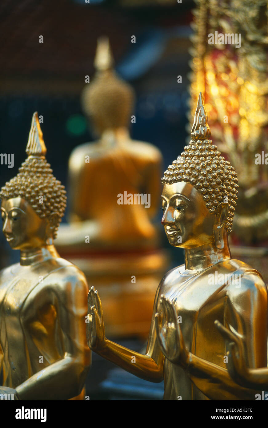 Gold Buddha statues at Doi Suthep Chiang Mai Thailand Stock Photo - Alamy