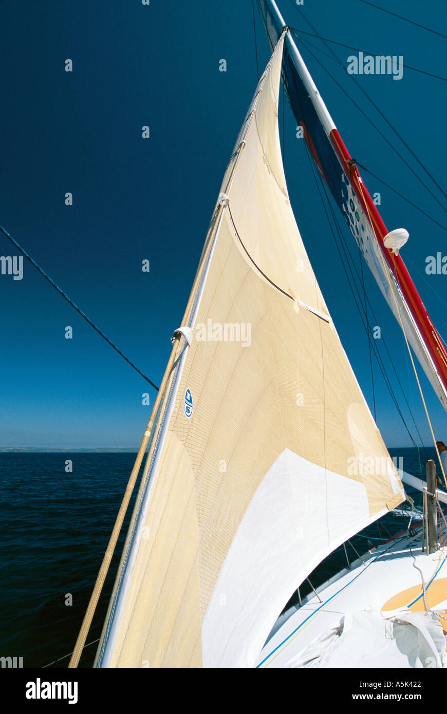 The foresail on a racing yacht nr Plymouth Great Britain Stock Photo ...