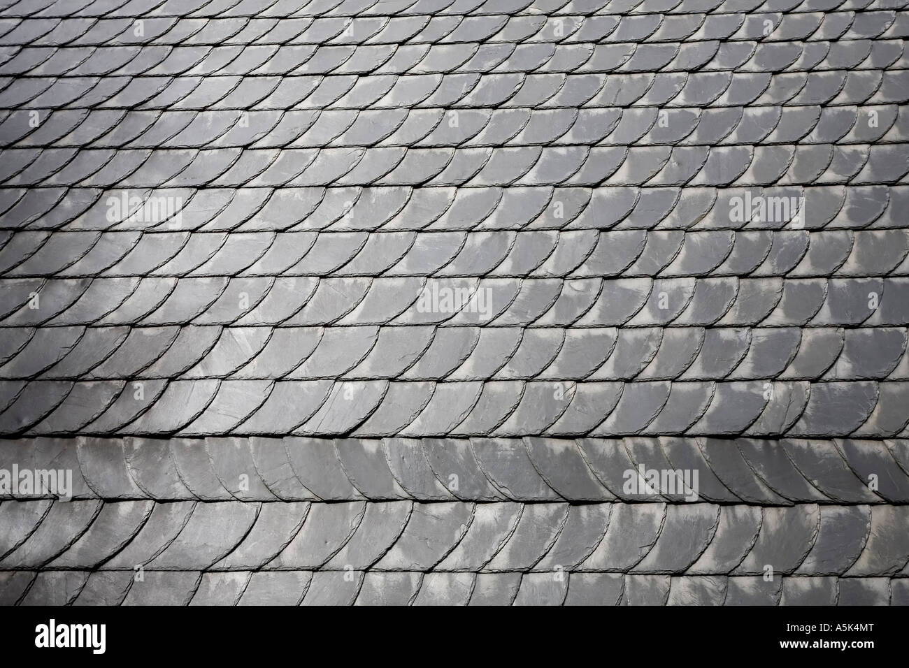 Wall coated with shingles made of slate, NRW, Germany Stock Photo - Alamy