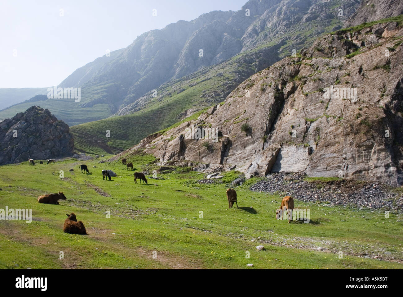 Urgut, Zeravshan mountains, Uzbekistan Stock Photo - Alamy