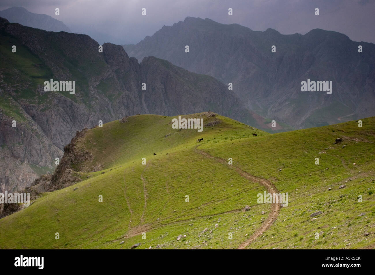 Urgut, Zeravshan mountains, Uzbekistan Stock Photo - Alamy