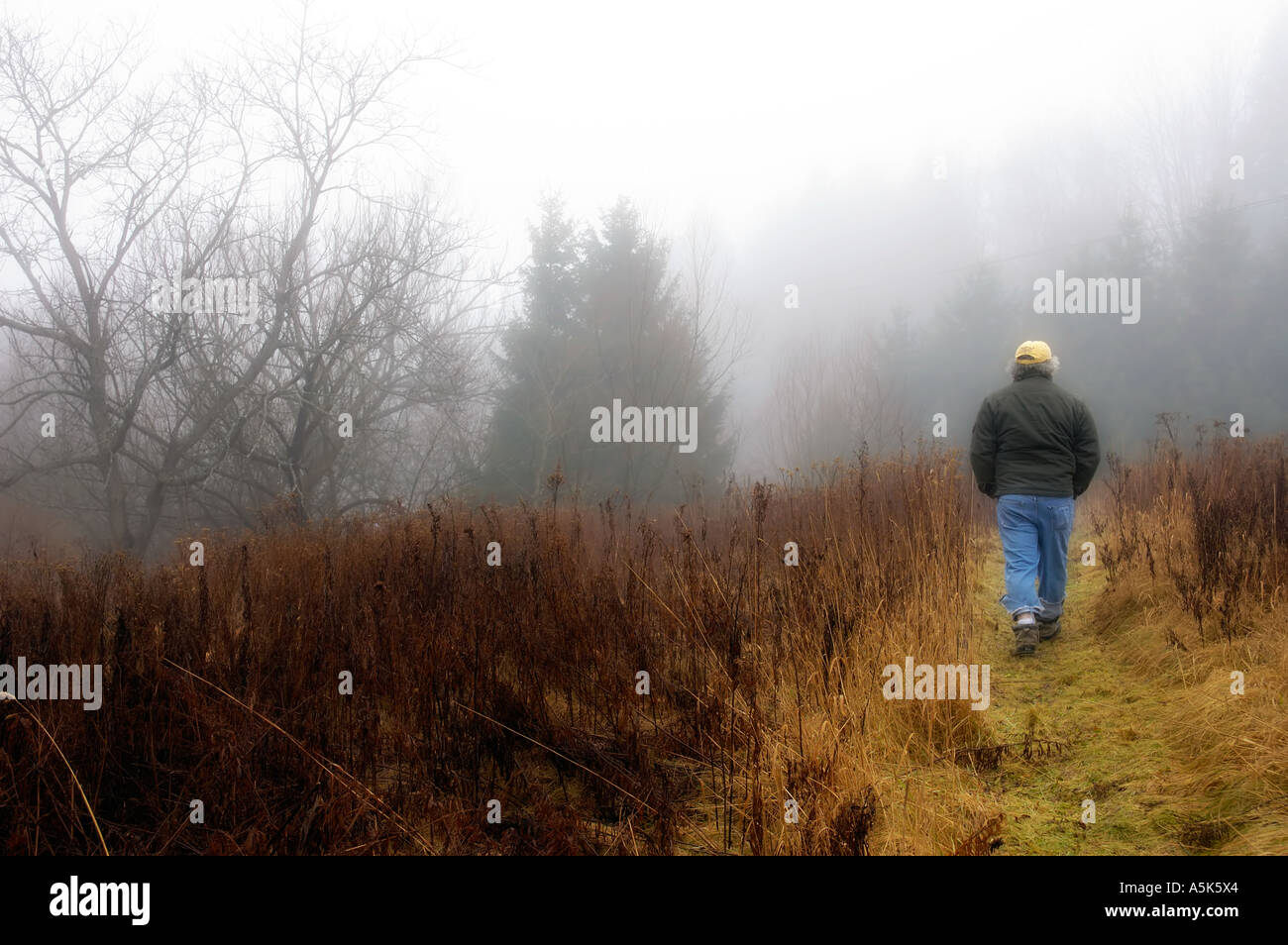 Fog fall colors hi-res stock photography and images - Alamy