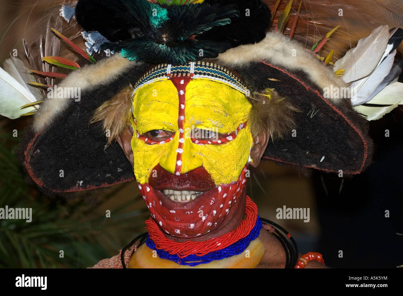 Native of Papua Stock Photo - Alamy