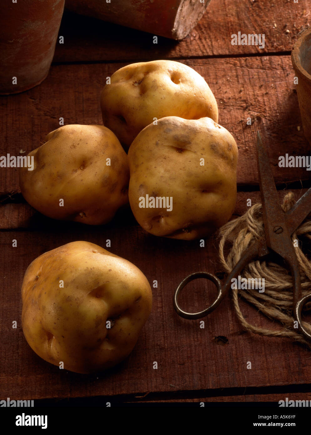 Opperdoes hi-res stock photography and images - Alamy