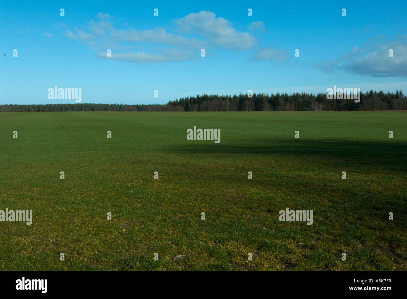 Blue sky over an open field Stock Photo - Alamy