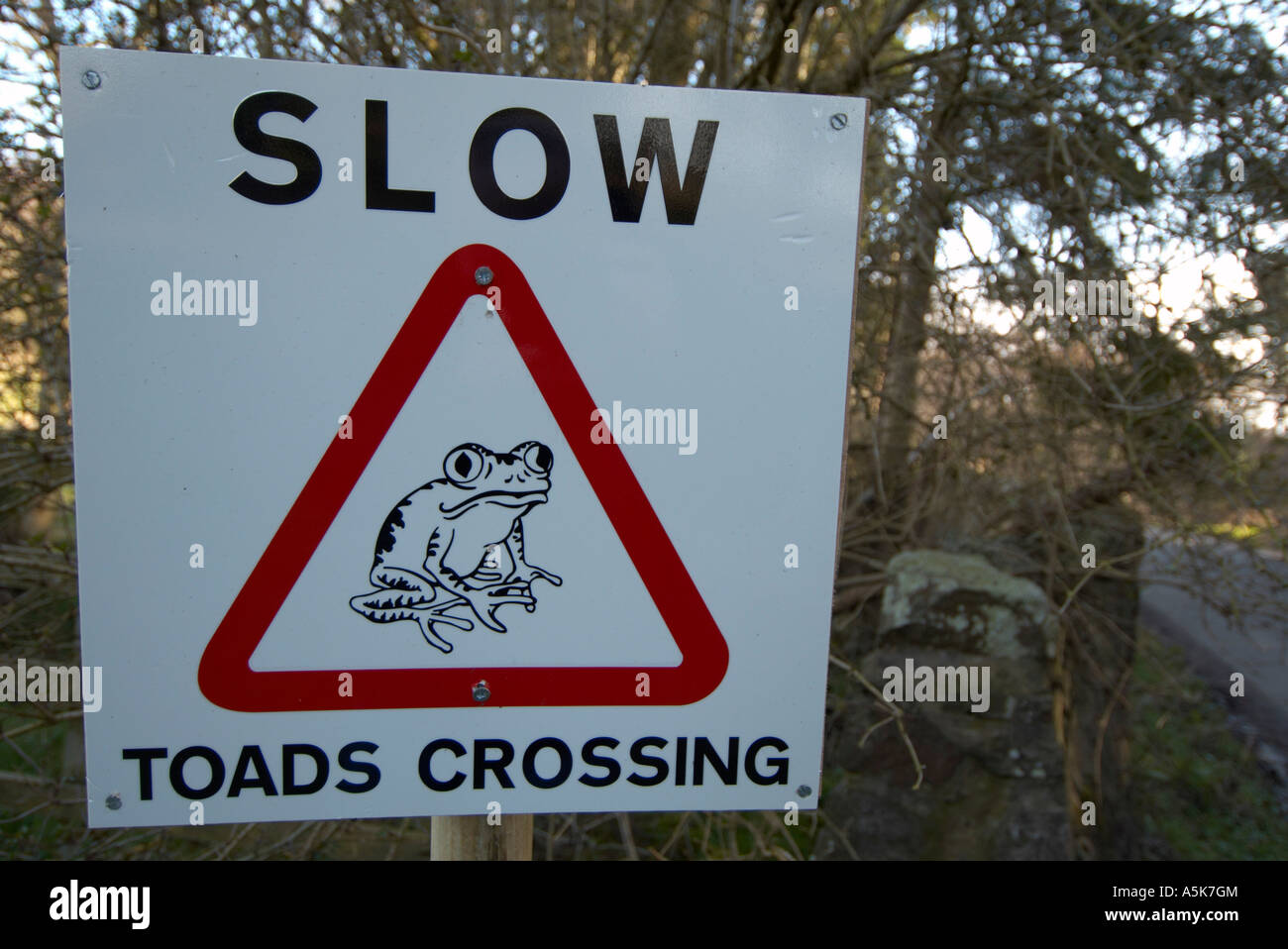Slow sign for toads crossing Stock Photo - Alamy