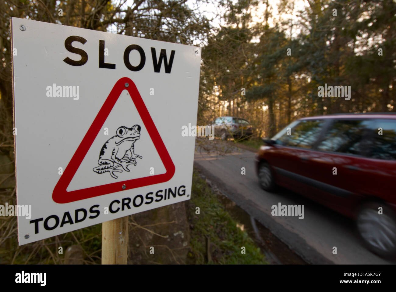 Toads crossing sign hi-res stock photography and images - Alamy