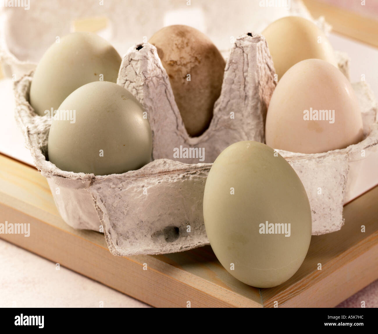 Duck eggs in egg box Stock Photo - Alamy