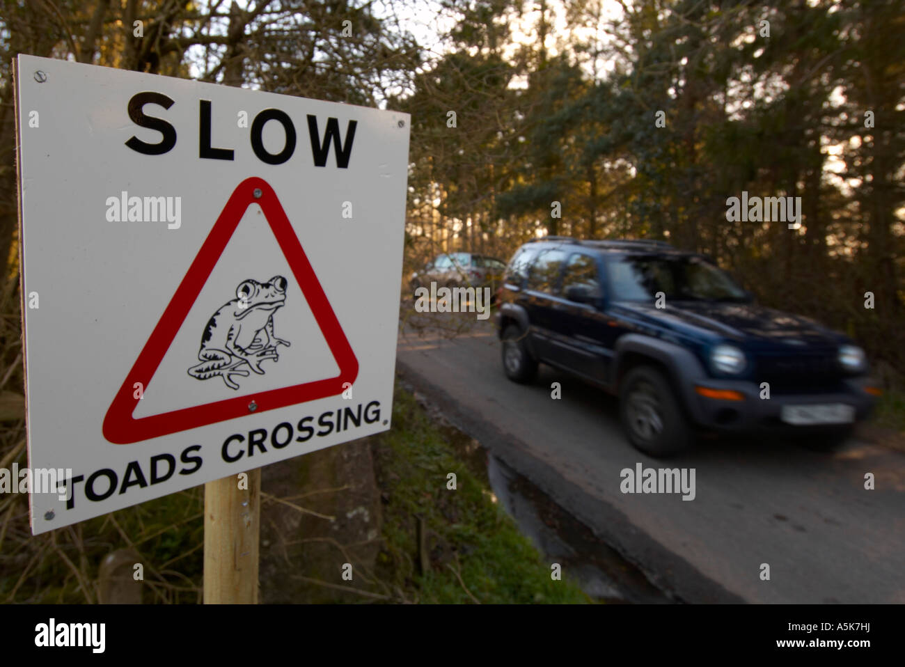 Slow sign for toads crossing Stock Photo - Alamy
