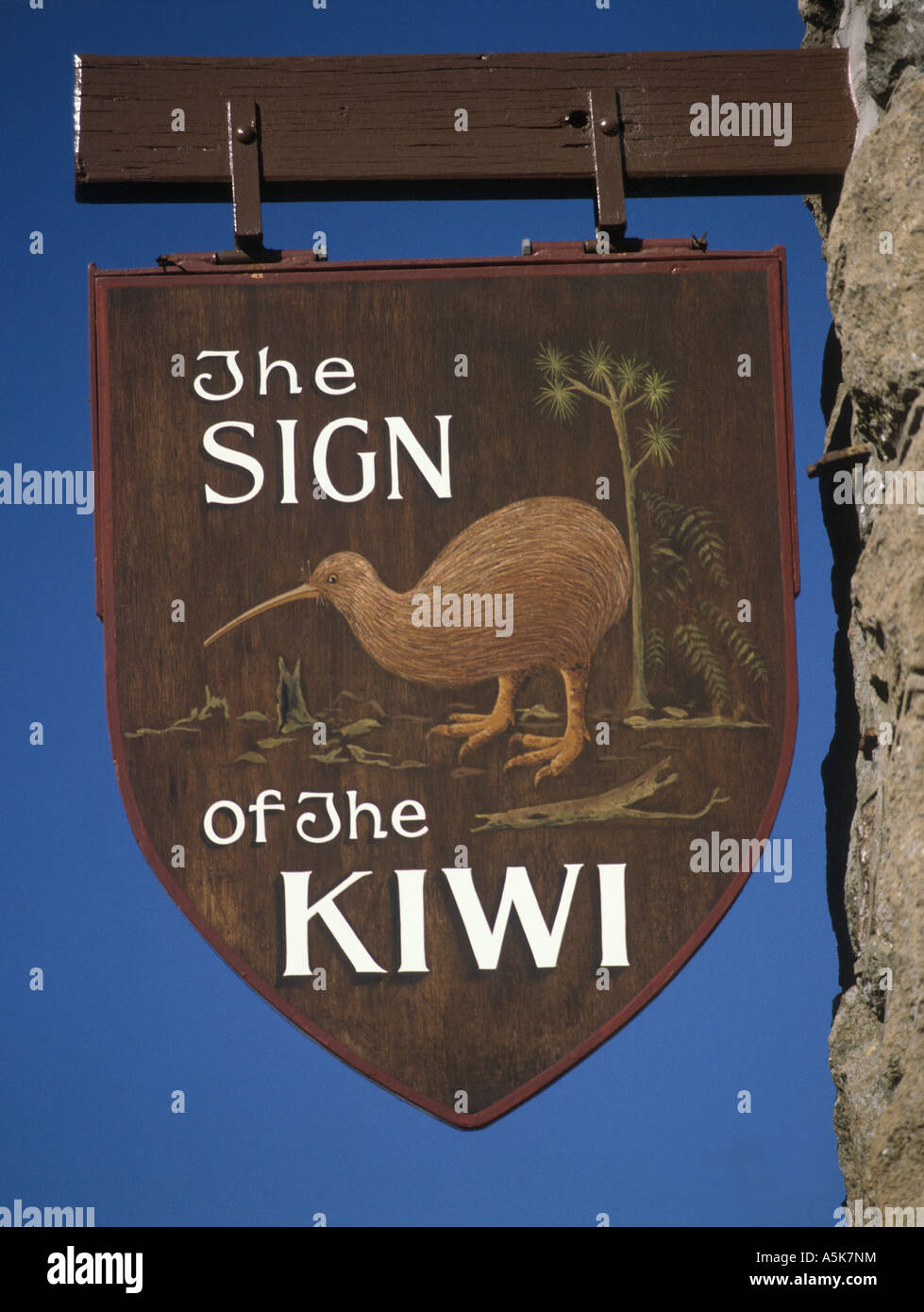 Kiwi birds hi-res stock photography and images - Alamy