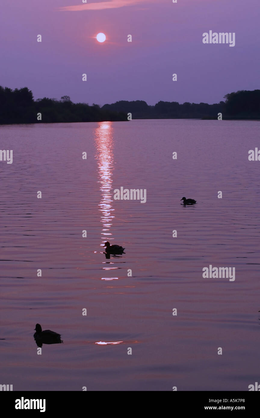 Lake in morning sun Stock Photo - Alamy