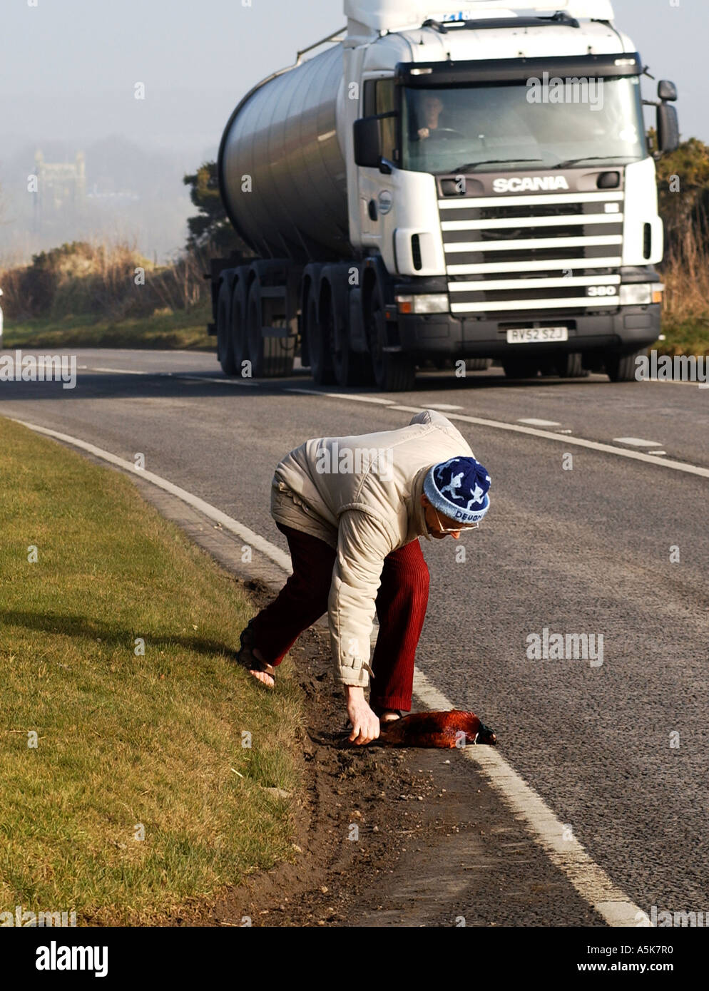 Arthur boyt picking up roadkill hi-res stock photography and images - Alamy