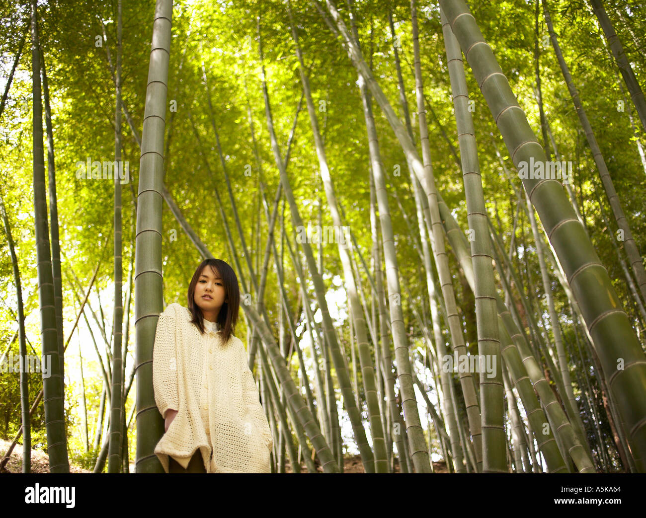 Young woman leaning against a bamboo tree Stock Photo - Alamy