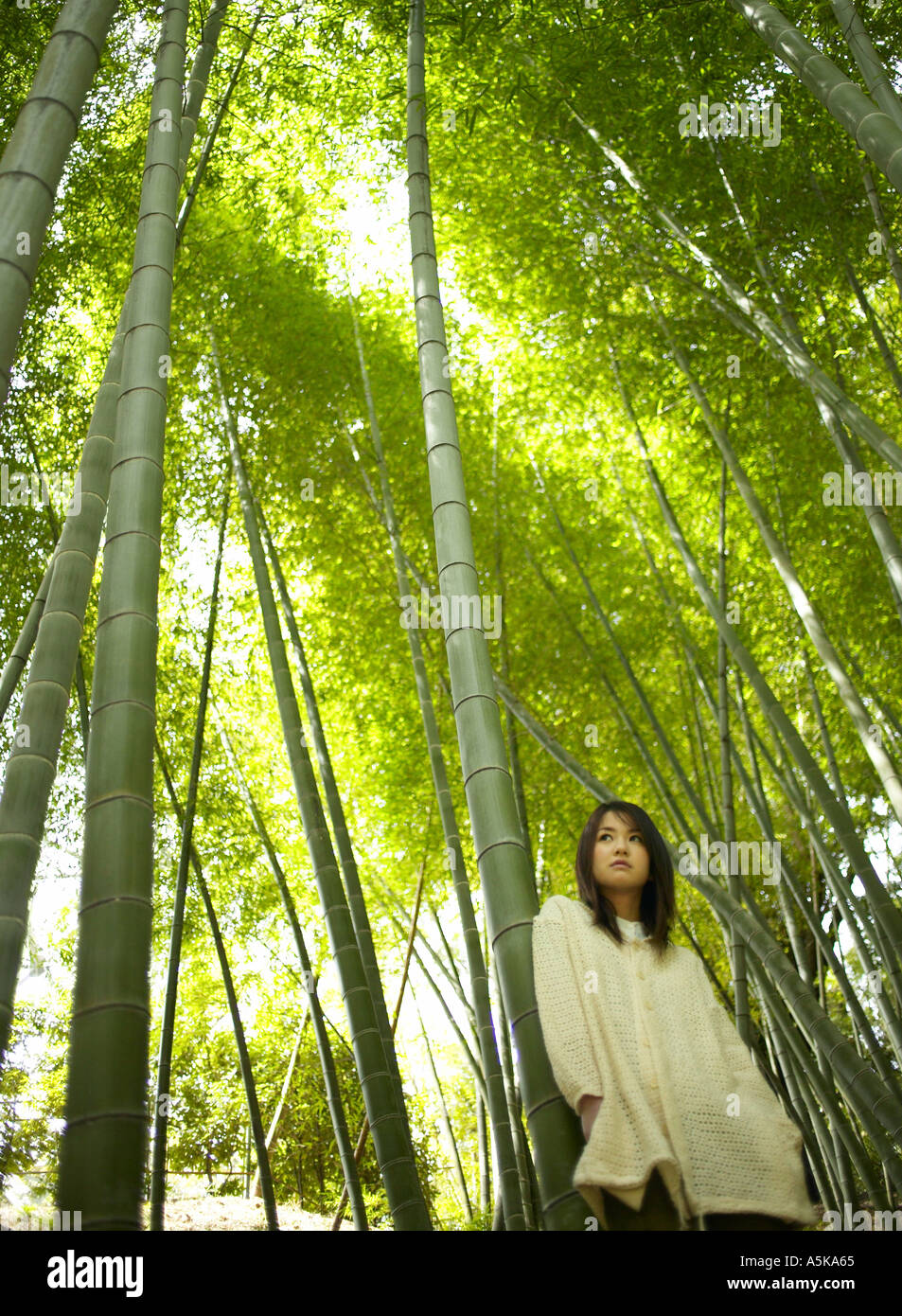 Young woman leaning against a bamboo tree Stock Photo - Alamy