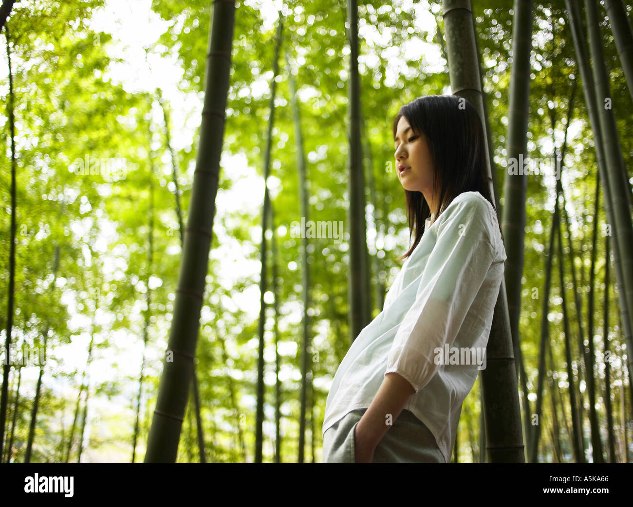 Young woman leaning against a bamboo tree Stock Photo - Alamy