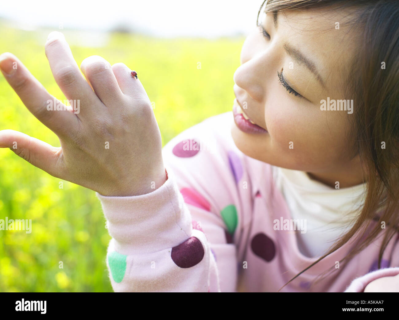 Lady bird insect ladybug hi-res stock photography and images - Alamy