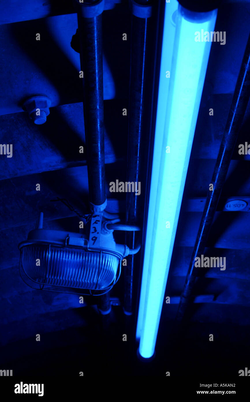 Blue neon light Stock Photo - Alamy