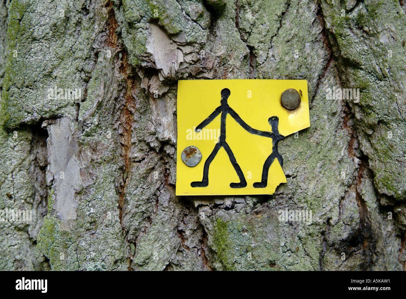 Broken Family Tree