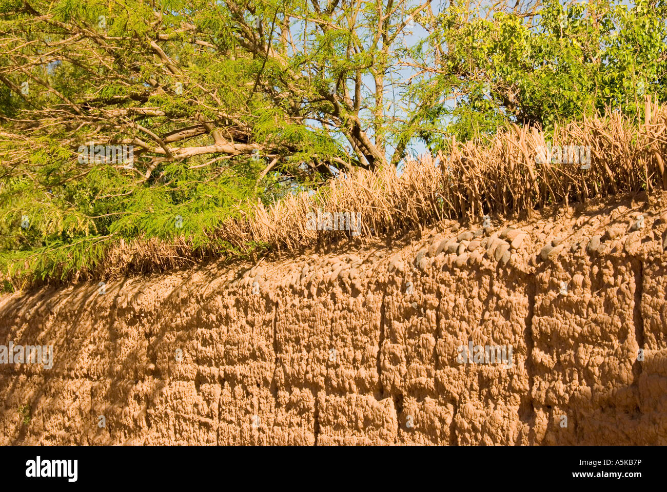 Chile San Pedro de Atacama mud fence Stock Photo - Alamy