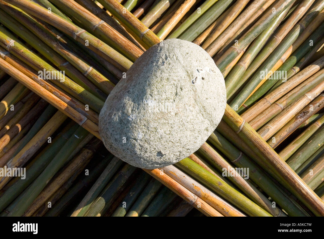 Rattan palm hi-res stock photography and images - Alamy